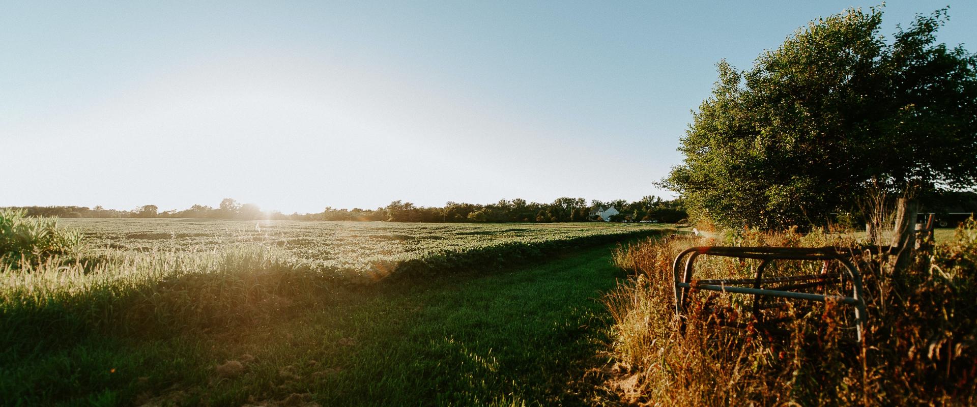 Home | Jon Coomer Investment Management